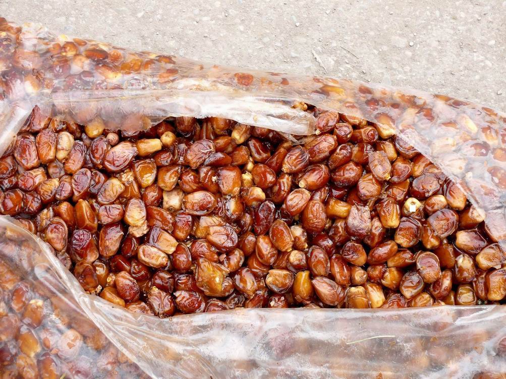 ZAHDI - Yaseen Falih | Premium and Fresh Dates In Dubai | Buy premium ...